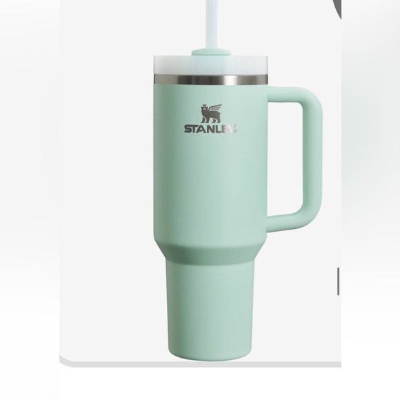 Stanley | Dining | New Stanley Quencher Flowstate Tumbler 4 Mint ...